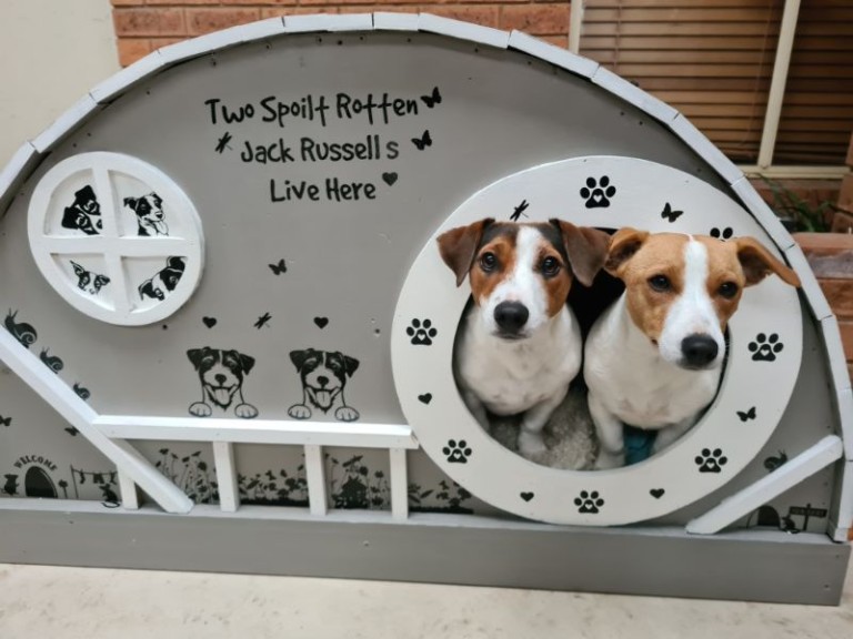 Hobbit Style Dog House - Unique Creations By Anita