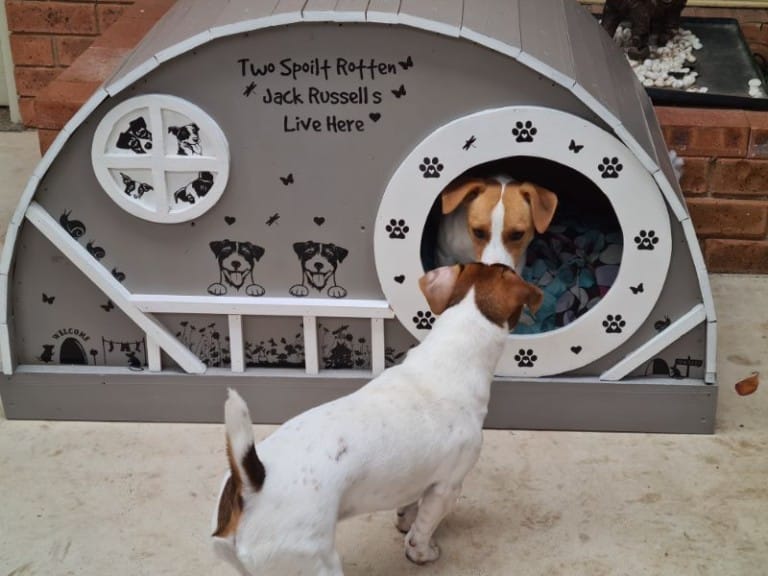 Hobbit Style Dog House - Unique Creations By Anita